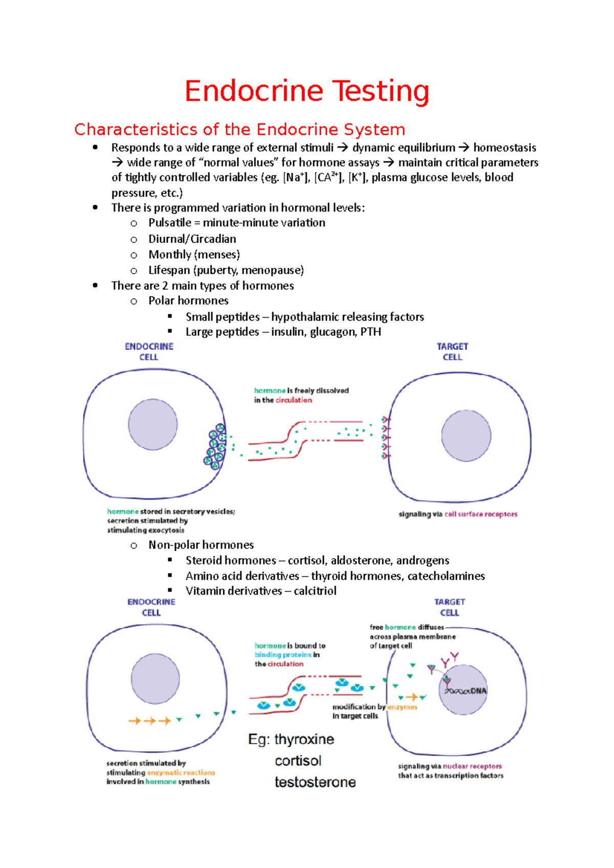 Endocrine Testing - Endocrine Testing Characteristics of the Endocrine ...