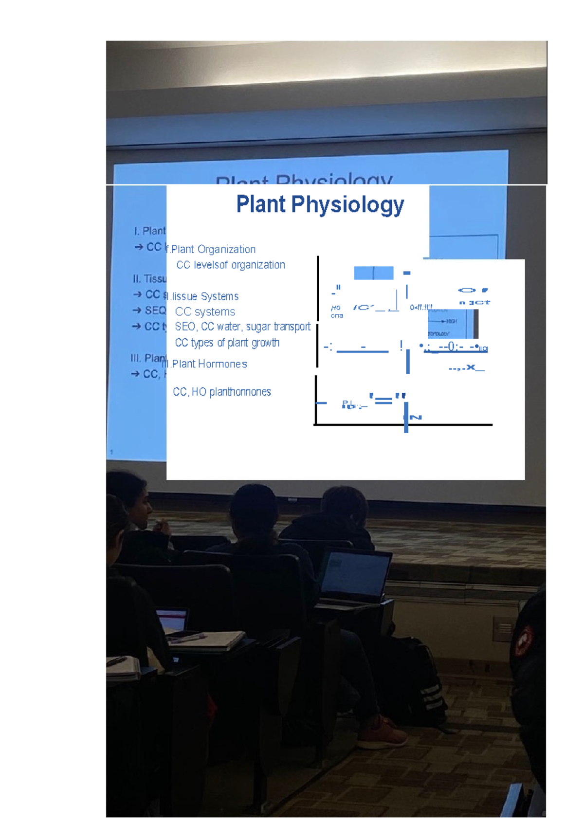 Plant Physiology - l I - • - II), '='' Plant Physiology f Organization ...