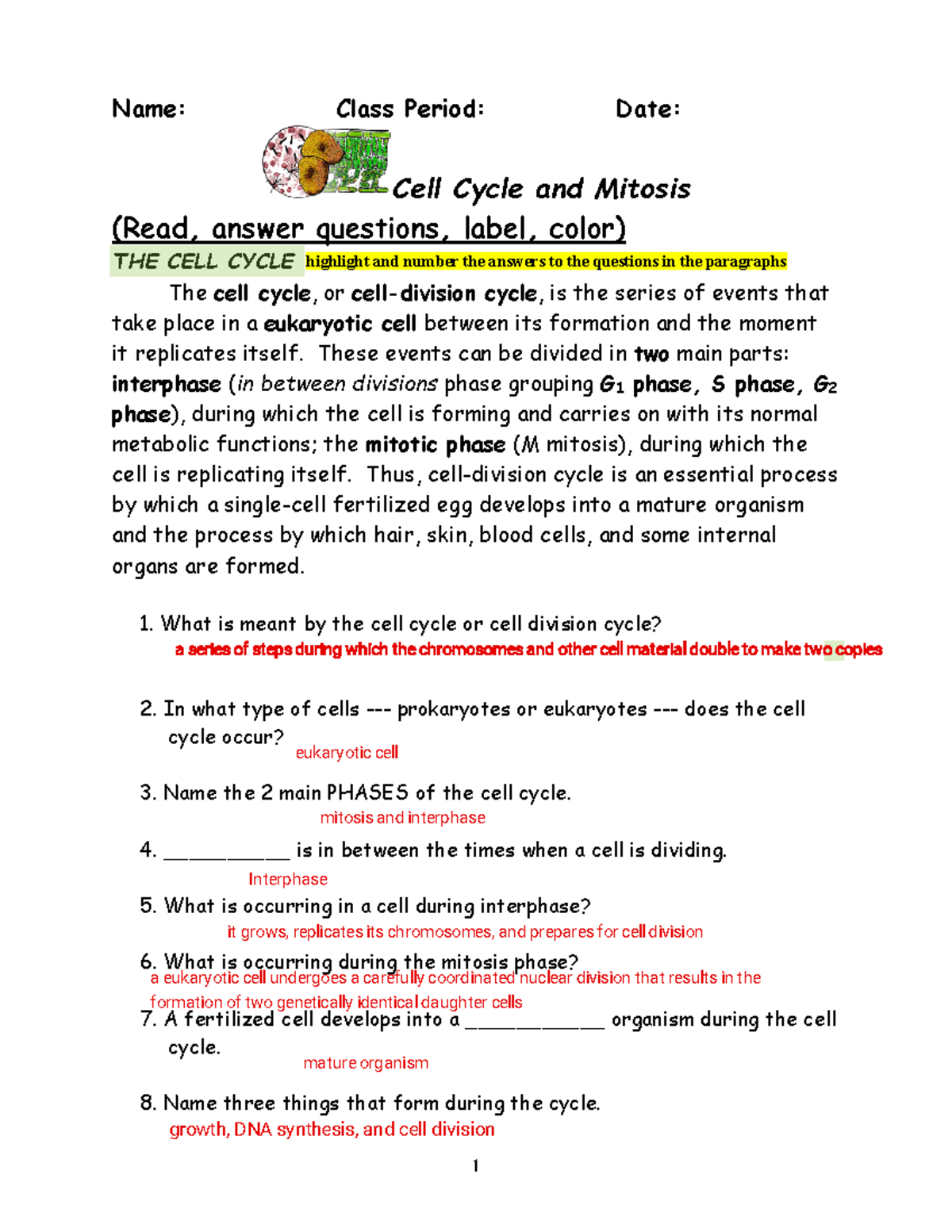 Marshall Uribe - The Cell Cycle & Mitosis HW packet Biology - Name ...