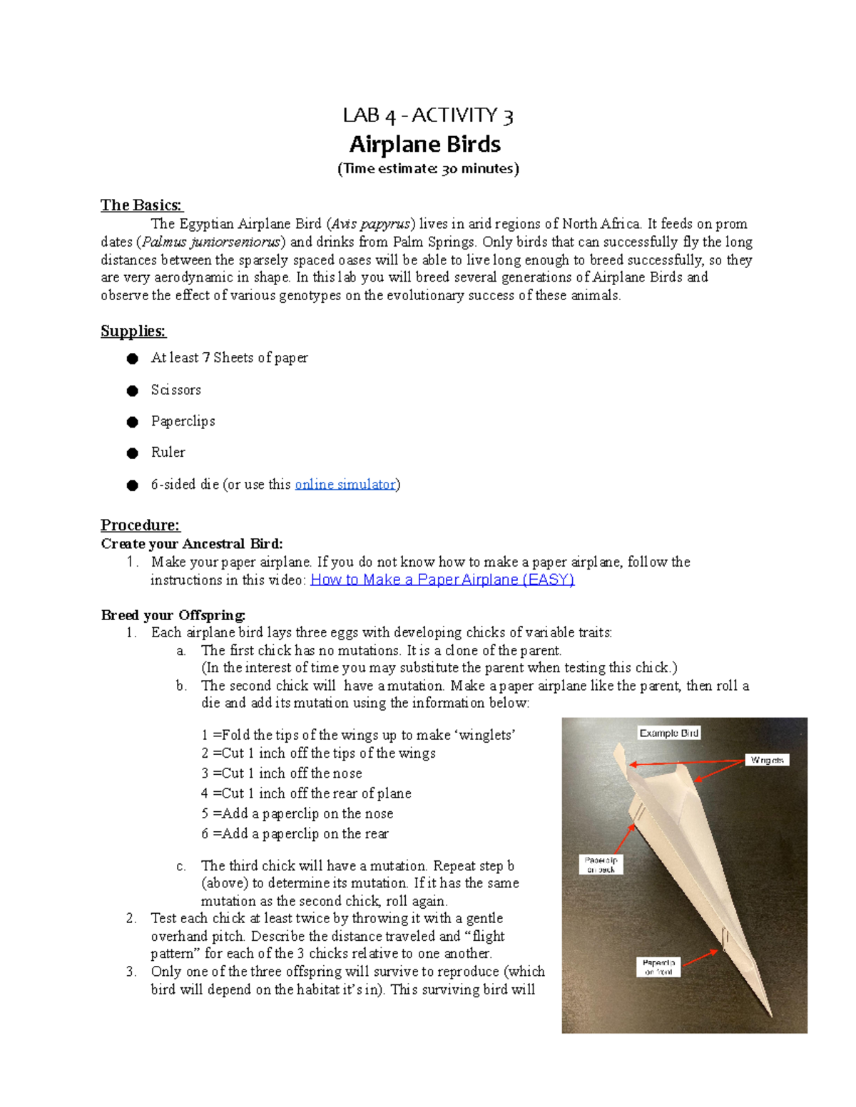 Lab4activity 3 airplanebirds - LAB 4 - ACTIVITY 3 Airplane Birds (Time ...