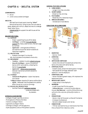 AP - Lab Ex. 08 review sheet chapter 8 Overview of the Skeleton: Classification and Name ...