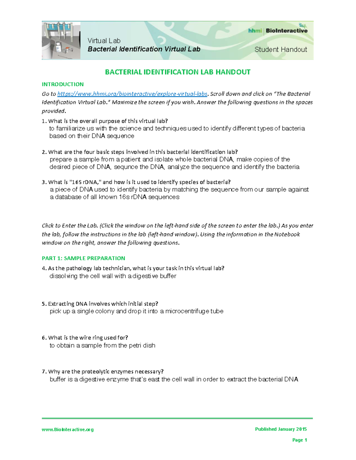Bacterial Identification Lab Worksheet Student BioInteractive