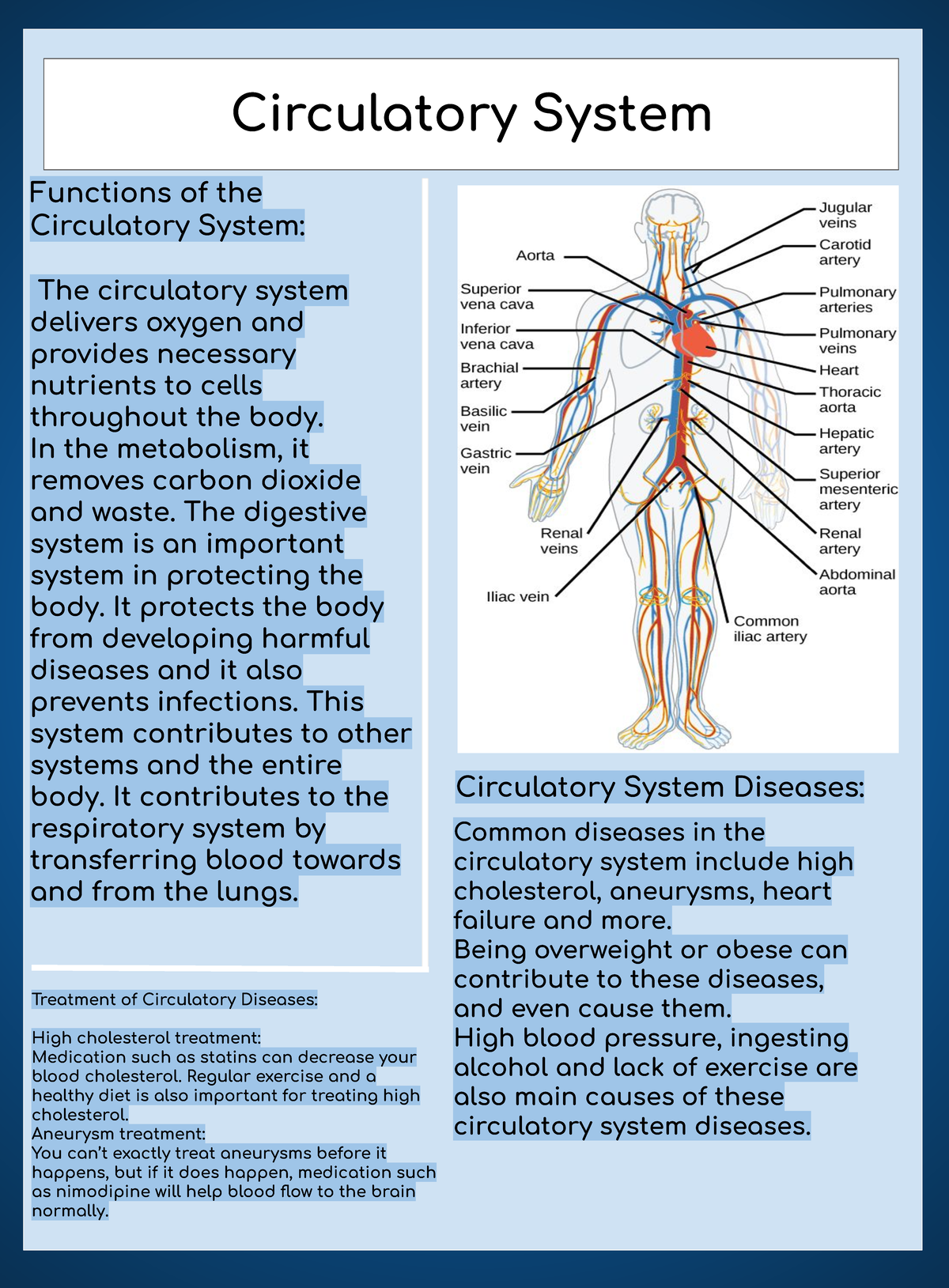 Circulatory System - asdfyuio - Circulatory System Functions of the ...
