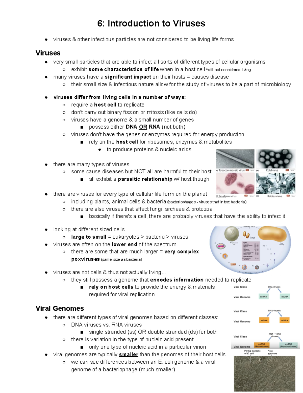 Microbiology Topic 6 - Lecture notes 6 - 6: Introduction to Viruses ...