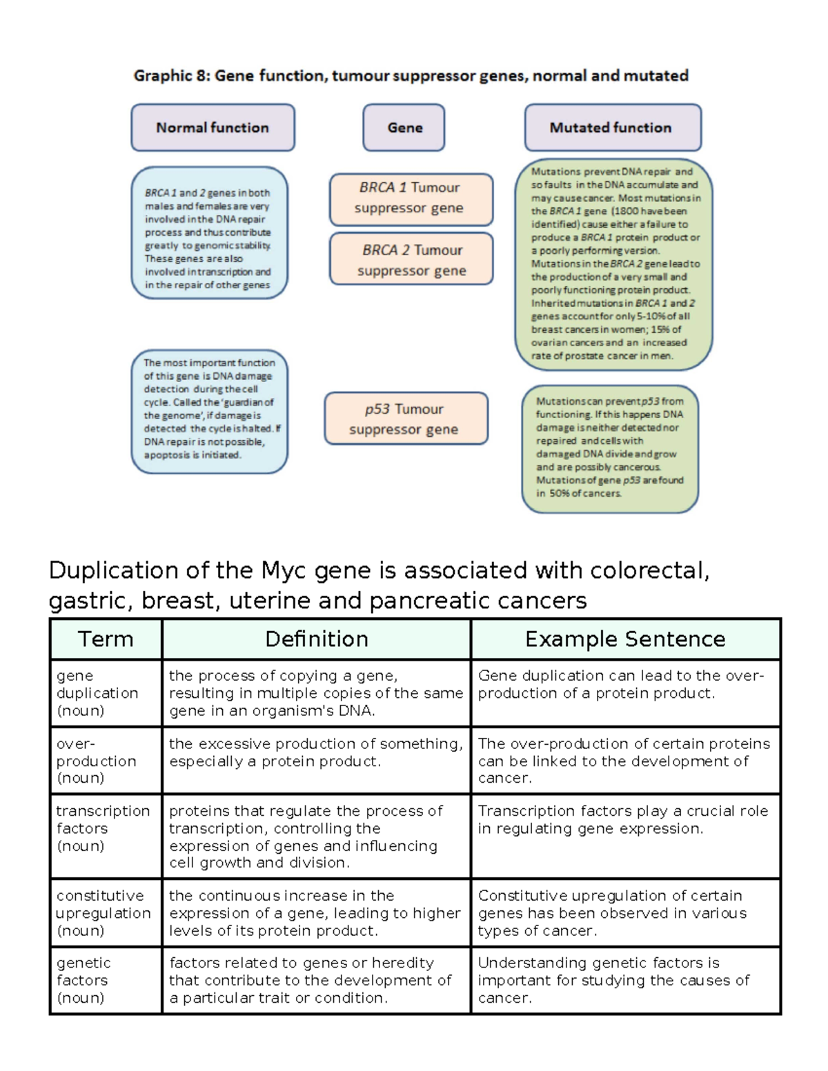 Duplication of the Myc gene is associated with colorectal, gastric ...
