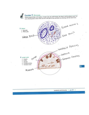 Unit 22 Exercise 22-1 Procedure 1 kj - n Exploring Anatomy & Physiology ...