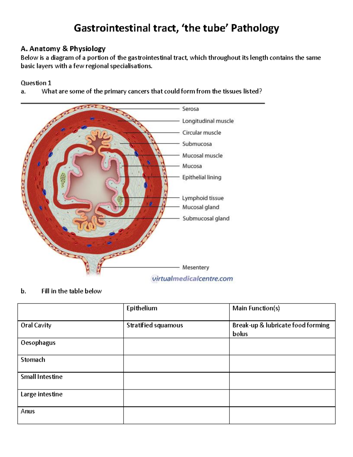 Practical - week 12 - Gastrointestinal tract, ‘the tube’ Pathology A ...