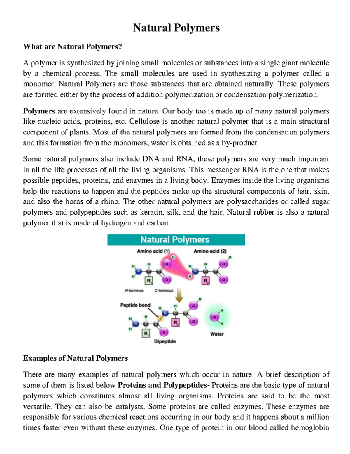 Natural Polymers - The small molecules are used in synthesizing a ...