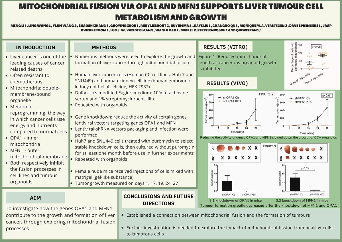 cell biology Poster - INTRODUCTION METHODS RESULTS (VITRO ...