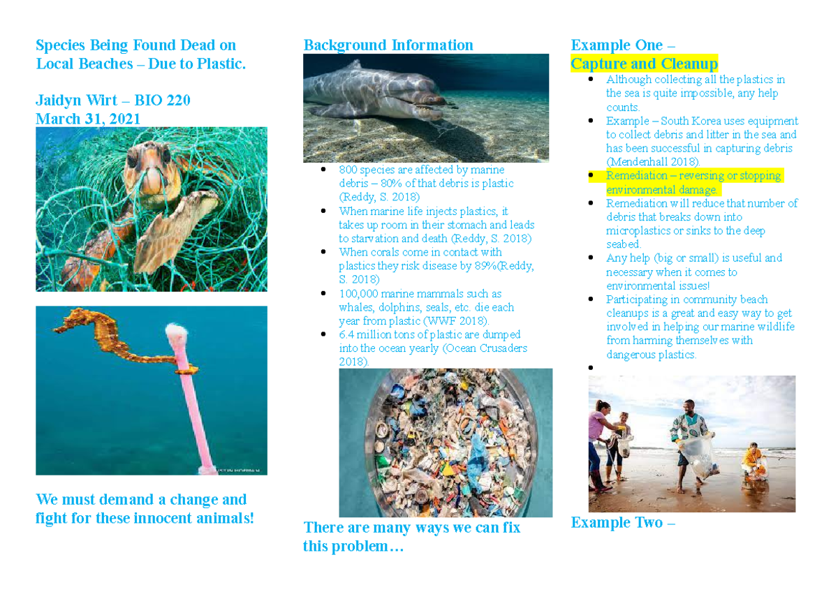 Topic 5 Pamphlet - Species Being Found Dead on Local Beaches – Due to ...