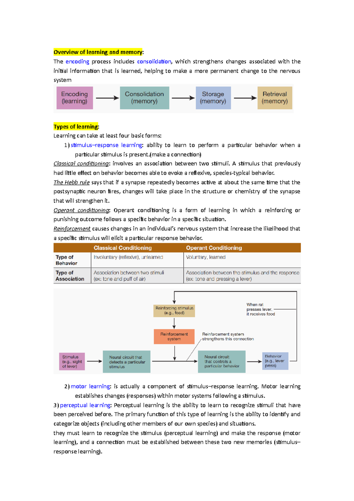 Chapter 13 - some notes about psyc 21 - Overview of learning and memory ...