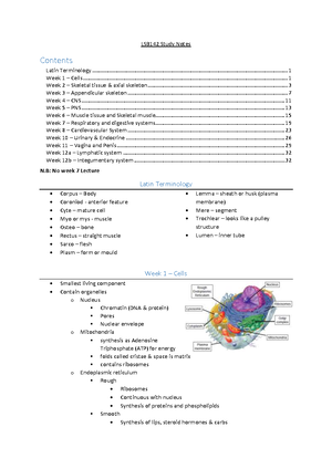 Reproductive system revision Q&A - 1 Essentials of Human Anatomy ...