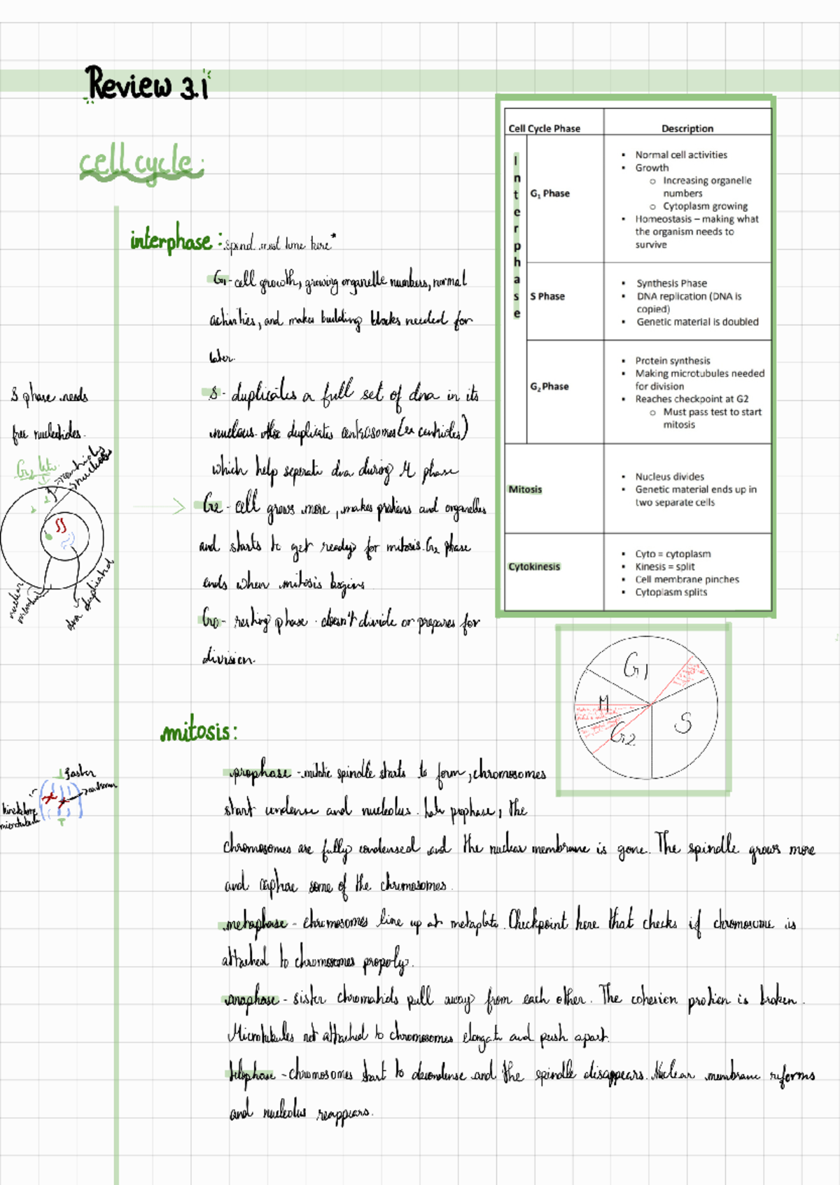 31 240219 131206 - Class notes - Studocu