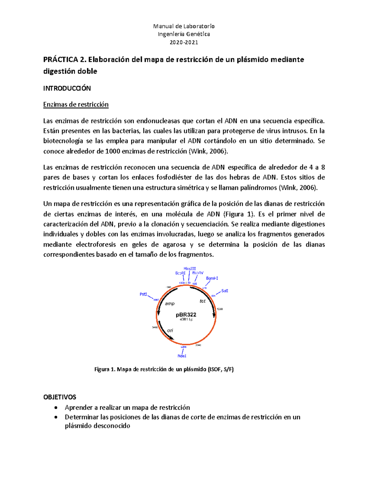 Manual%20Pr%C3%A1ctica%201%20-%20Mapa%20de%20restricci%C3%B3n ...