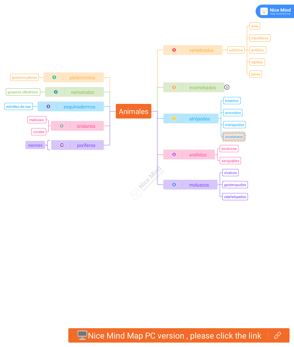Organizador - Nice Mind Map PC version , please click the link Animales vertebrados invertebados ...