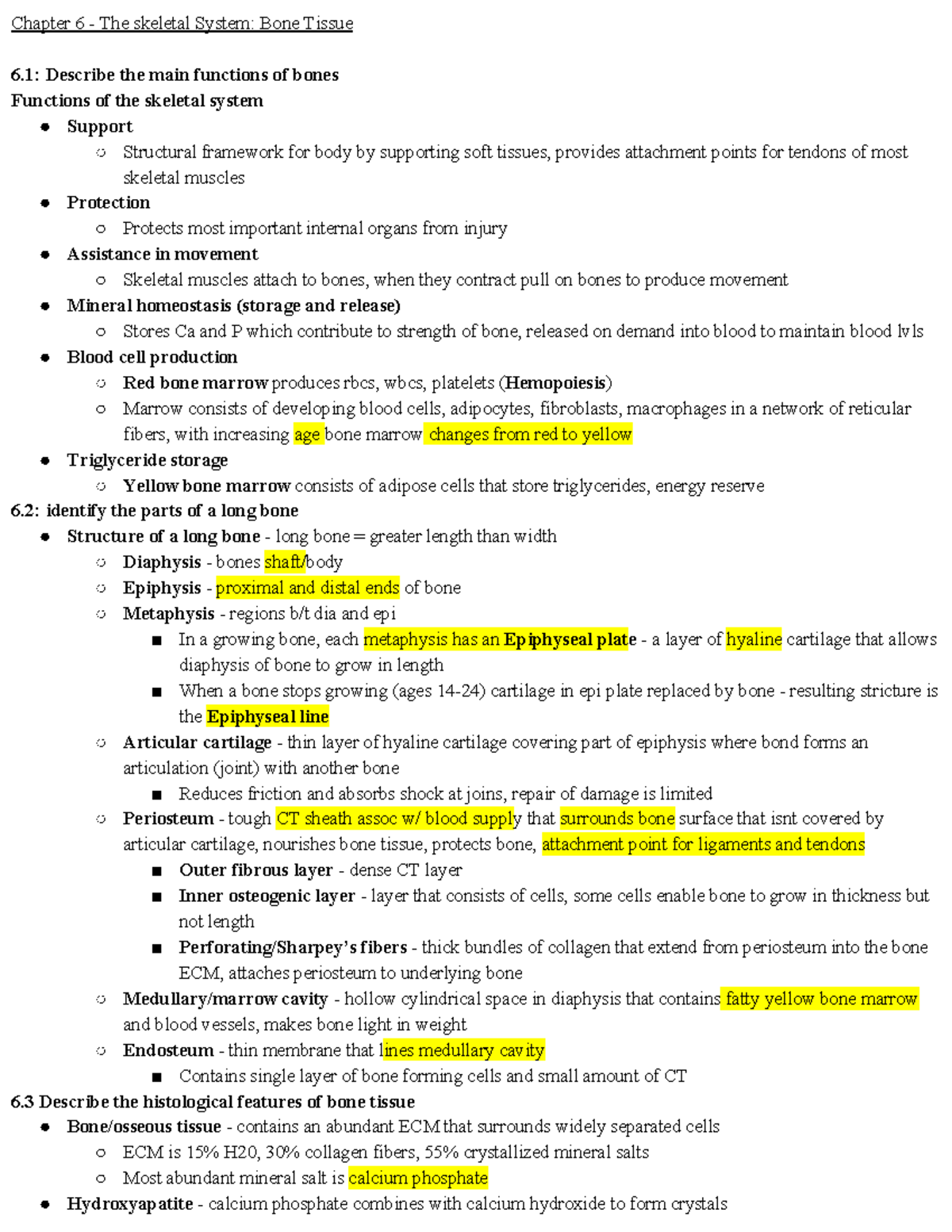 Chapter 6 The Skeletal System Bone Tissue - Chapter 6 - The skeletal ...