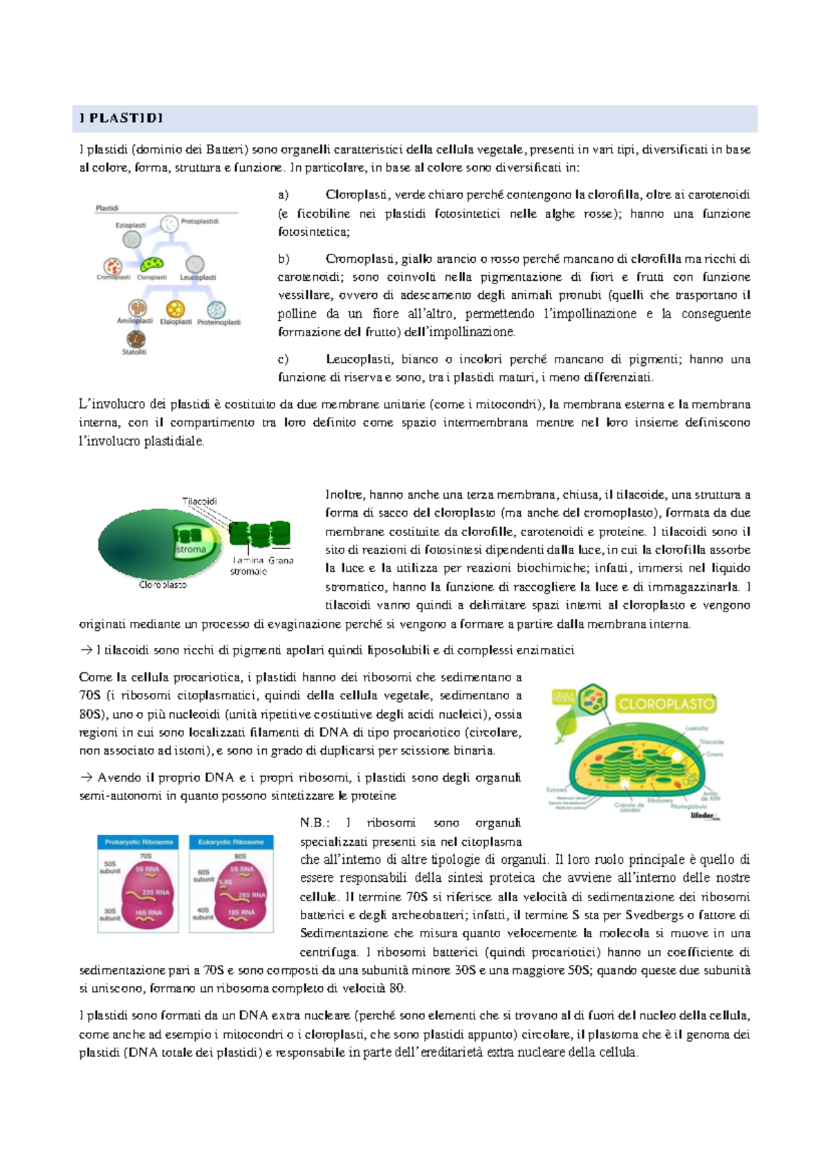 Plastidi biologia vegetale - I PLASTIDI I plastidi (dominio dei Batteri ...