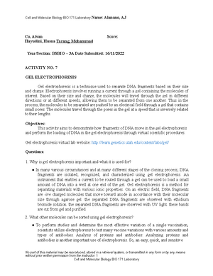 Agarose gel electrophoresis - 1. Prepare the Gel: o Dilute concentrated ...