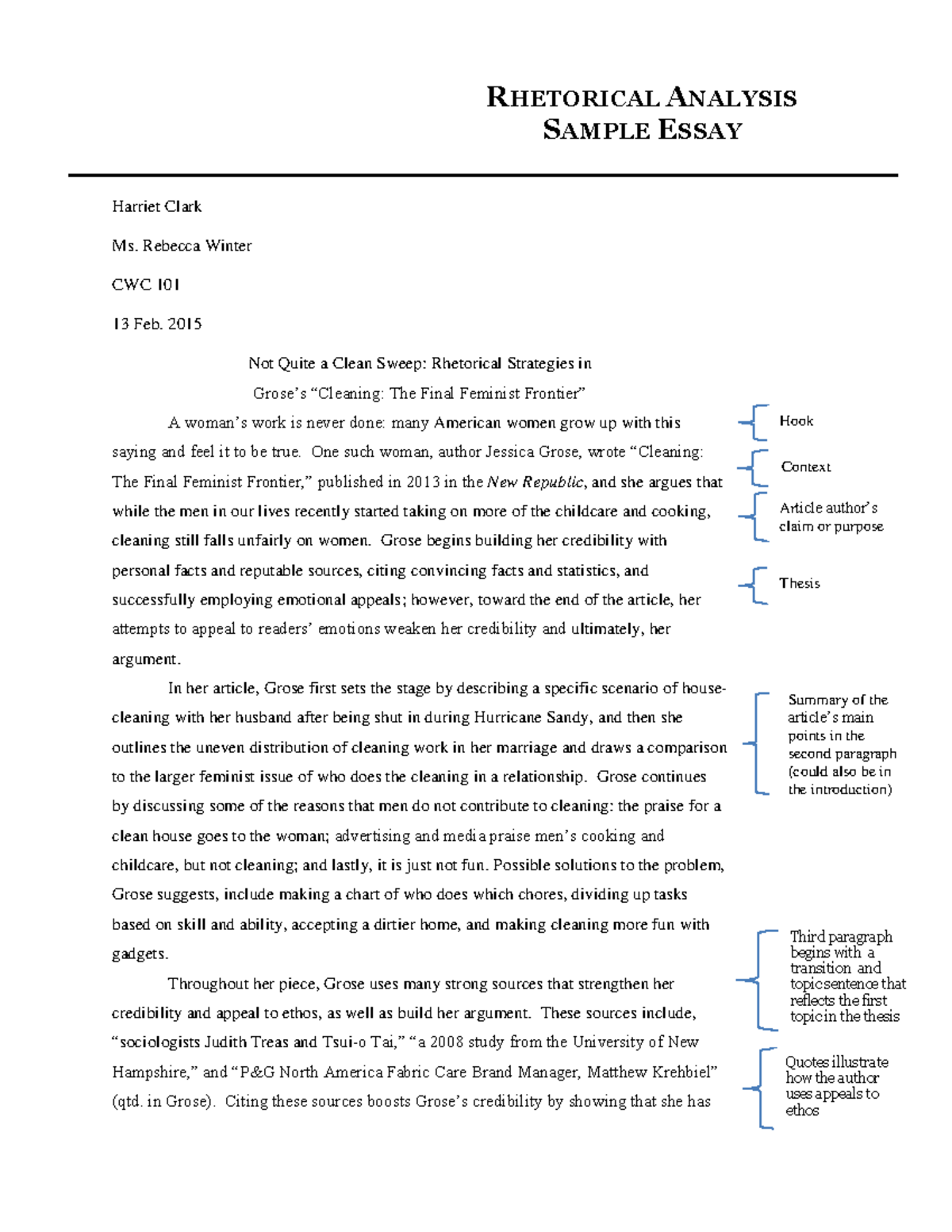 Rhetorical analytical essay example - RHETORICAL ANALYSIS SAMPLE ESSAY ...