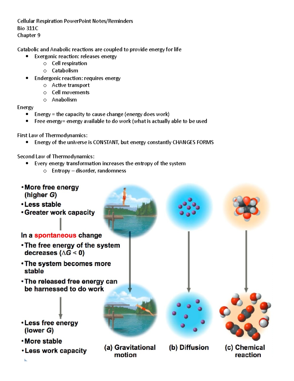Cellular Respiration Power Point Notes - Cellular Respiration ...