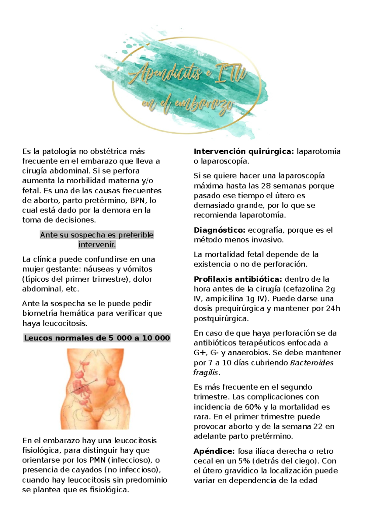 17. Apendicitis, ITU - Es la patología no obstétrica más frecuente en ...