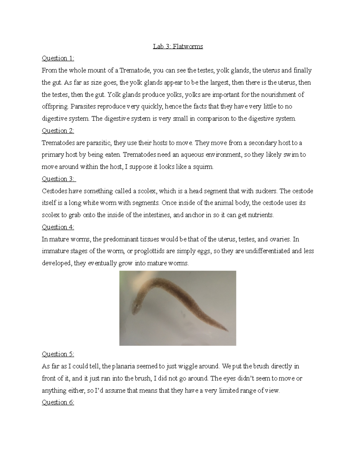 Lab 3 - got a 100 percent - Lab 3: Flatworms Question 1: From the whole ...