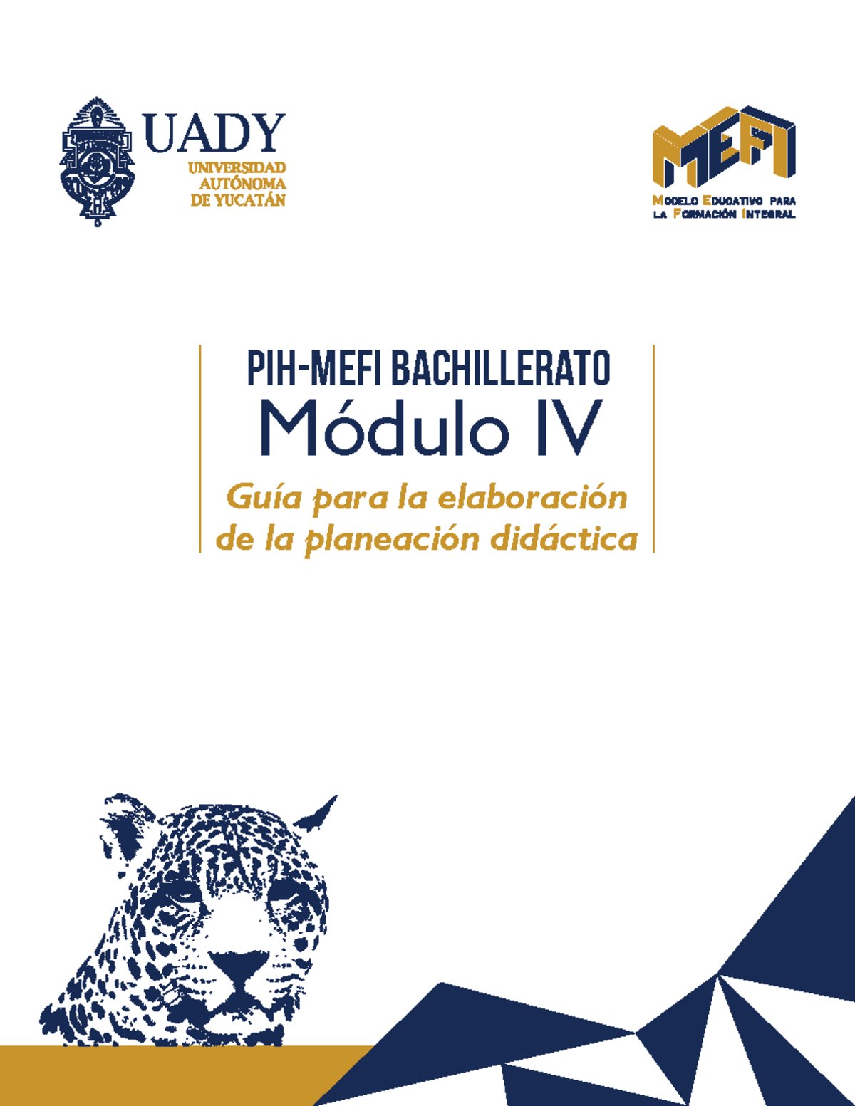 Guia Bachillerato PIH-MEFI - Guía para la elaboración de la planeación ...