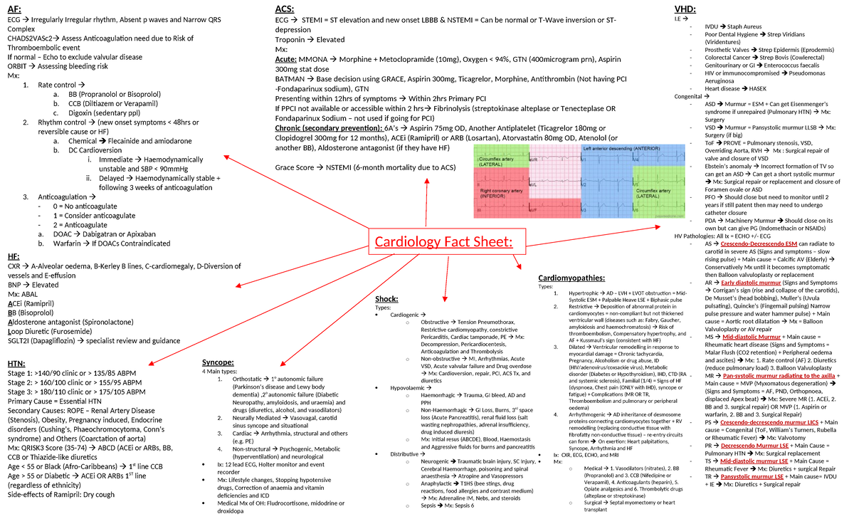 Cardiology Factsheet - Cardiology Fact Sheet: AF: ECG Irregularly ...