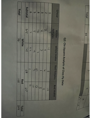 Gatsby's Death Blame Chart- answerd - THE GREAT GATSBY Chapter 9: Who ...