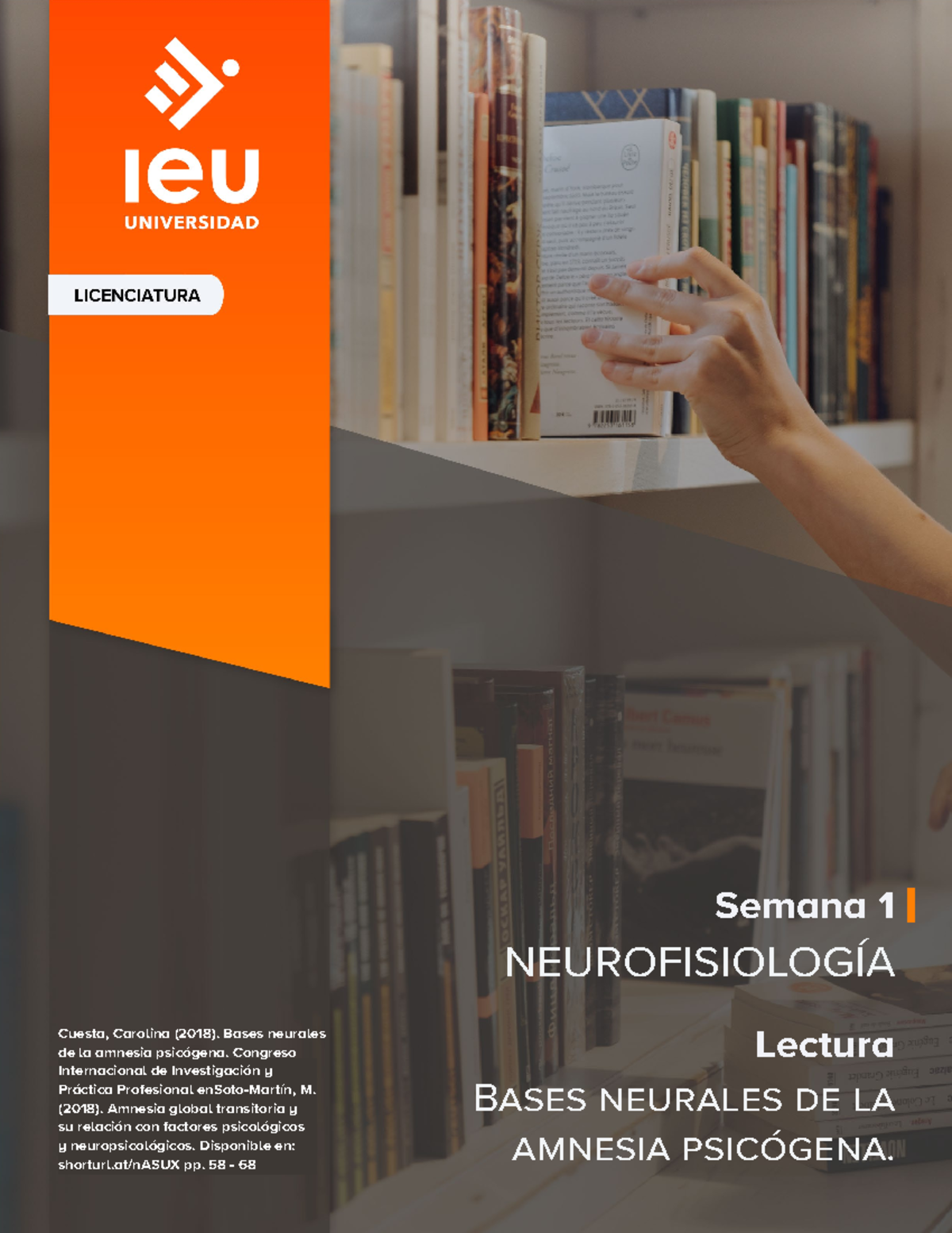 Bases Neurales - TEMAS RELACIONADOS CON EL PRIMER AÑO DE PSICOLOGIA ...