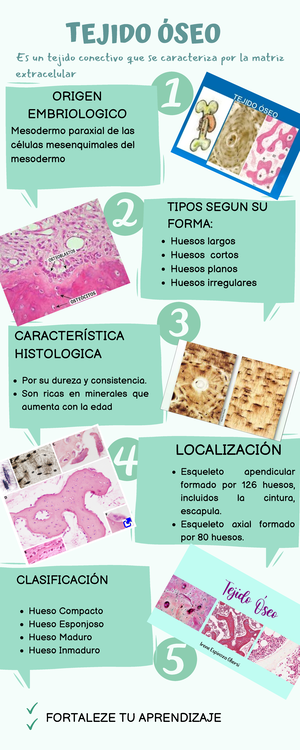 Principio DE LA Felicidad - PRINCIPIO DE LA FELICIDAD Cabe recalcar que ...