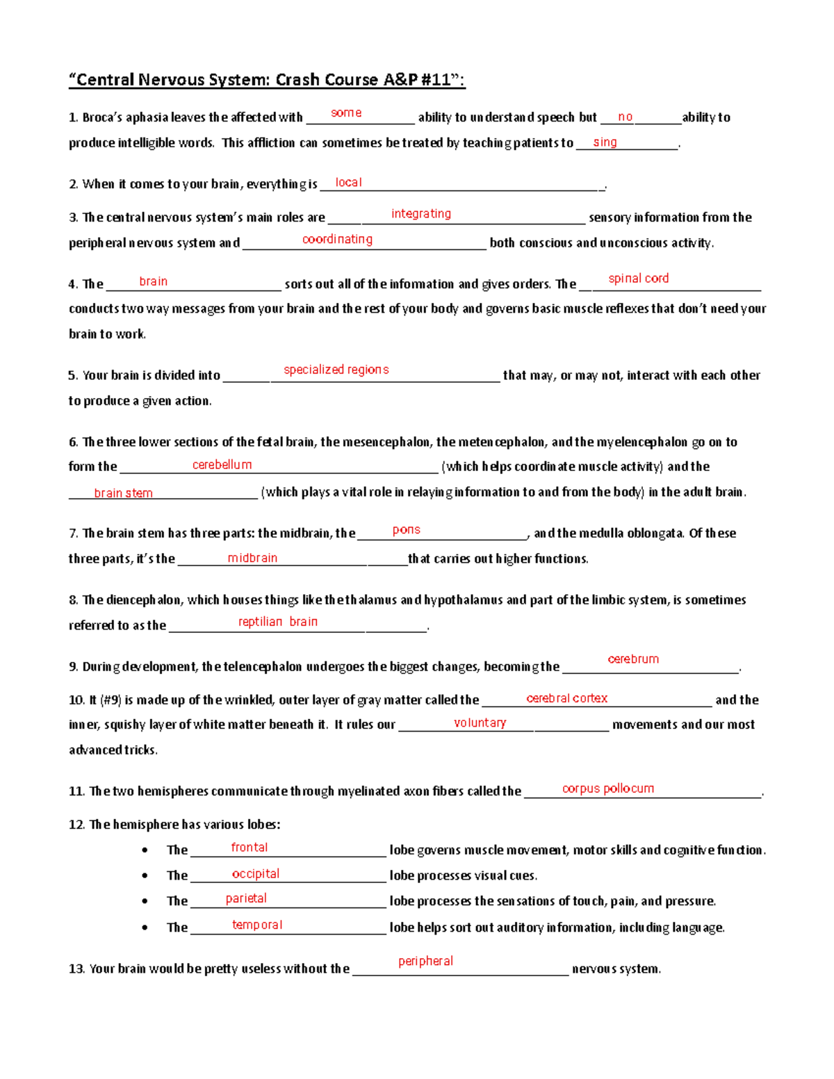 Kami Export - Brekyn Knowles - CNS Crash course - “Central Nervous ...