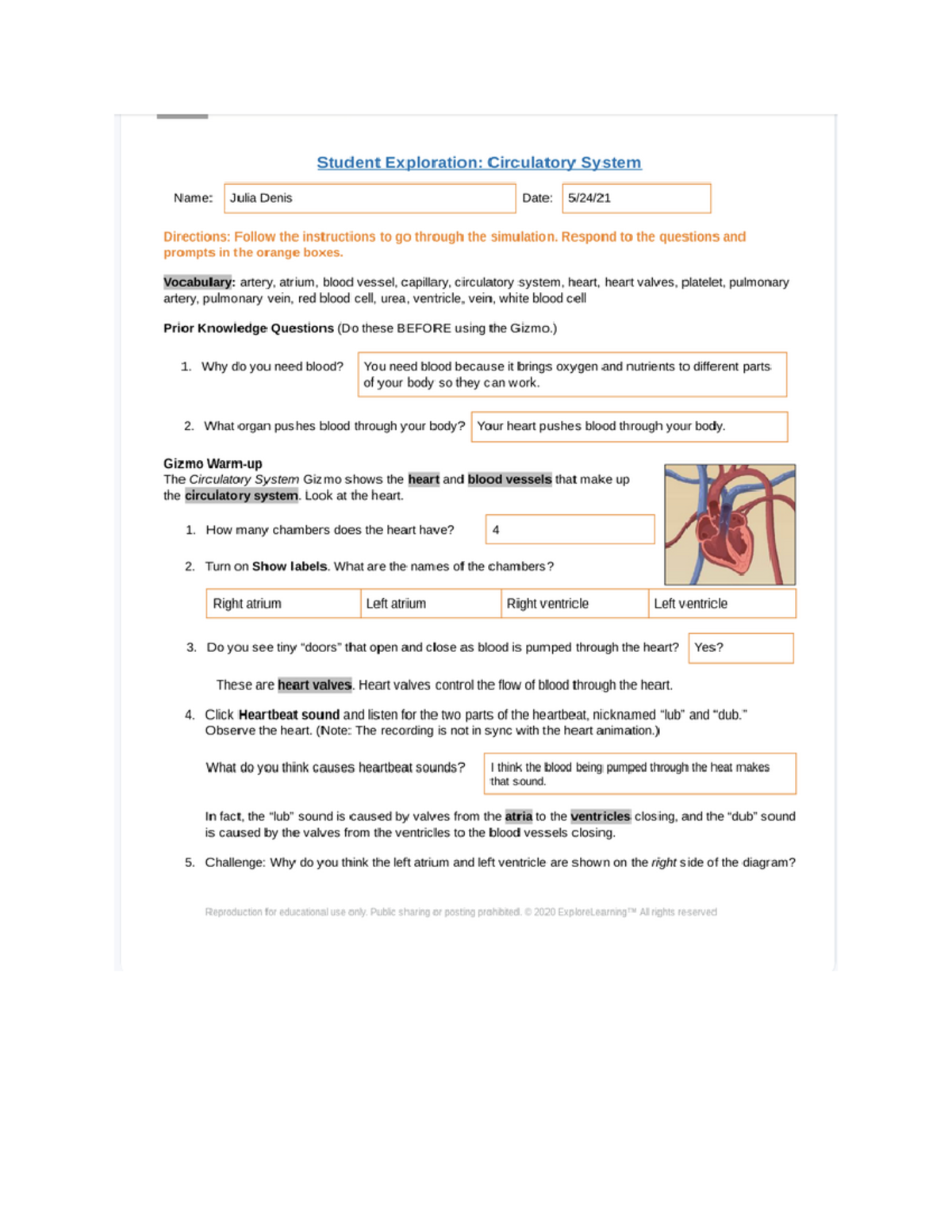 Gizmo - Student Exploration: Circulatory System Name: Julia Denis Date ...