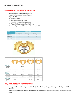 Prioritization of problems in community health nursing - VIERNES ...