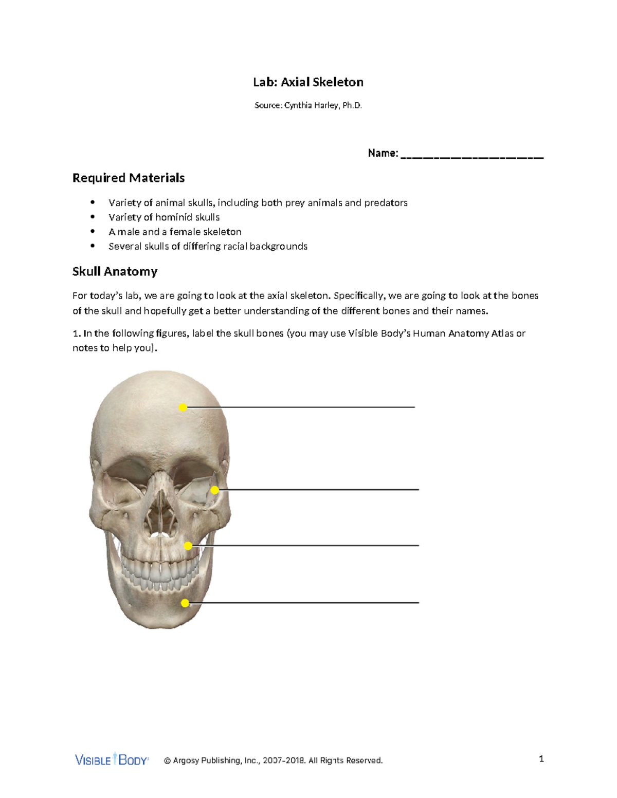 Ap worksheet axial skeleton - Lab: Axial Skeleton Source: Cynthia Harley, Ph. Name: - Studocu