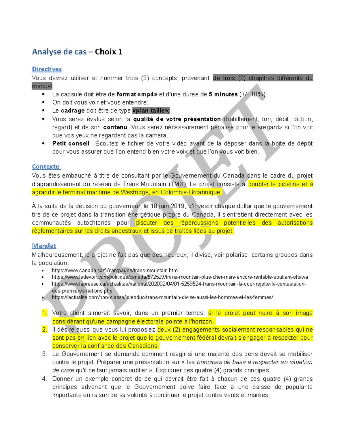 Analyse de cas MNG-1000 A21 - Analyse de cas – Choix 1 Directives Vous ...