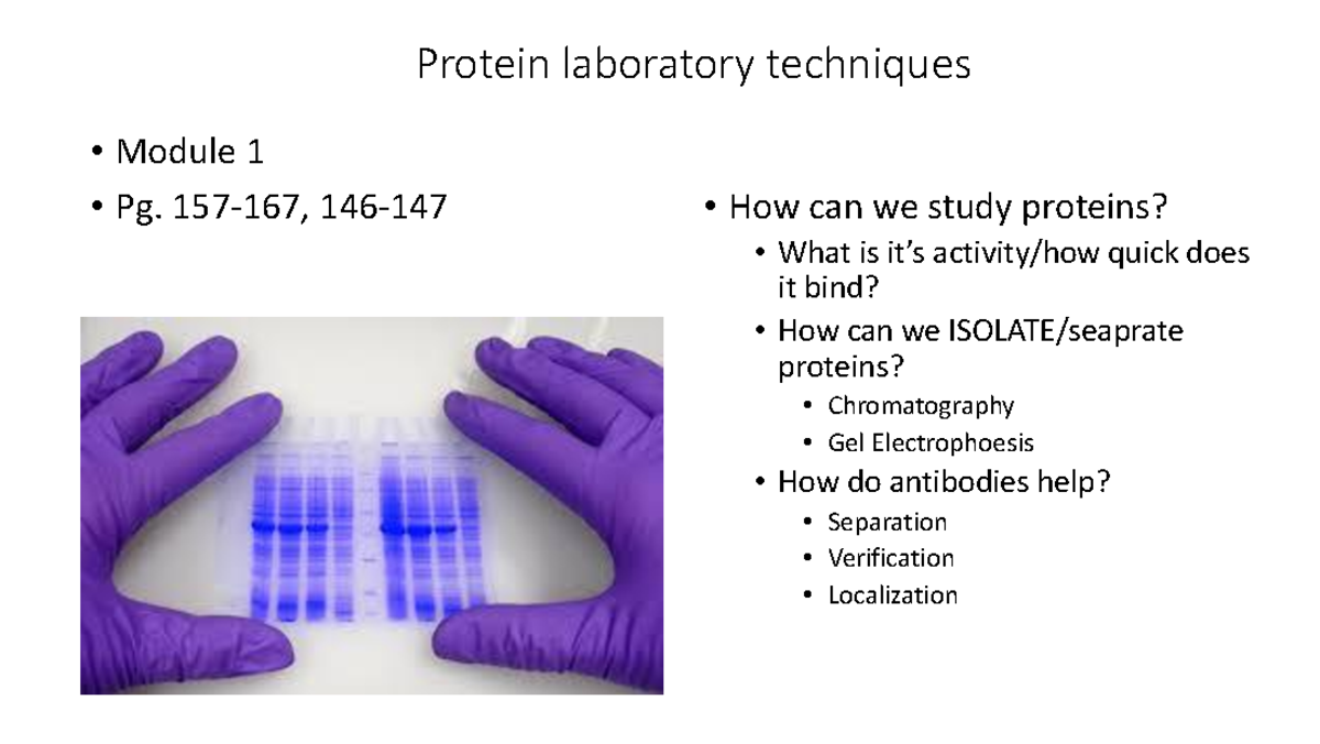 Protein techniques - Protein laboratory techniques Module 1 Pg. 157-167 ...