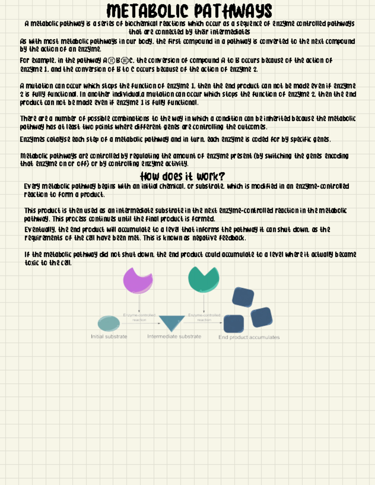 Metabolic pathway notes - METABOLIC PATHWAYS A metabolic pathway is a ...