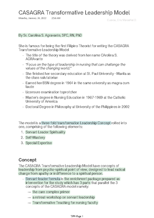Philippine Conceptual Model - Retirement and Role Discontinuities By Sr ...