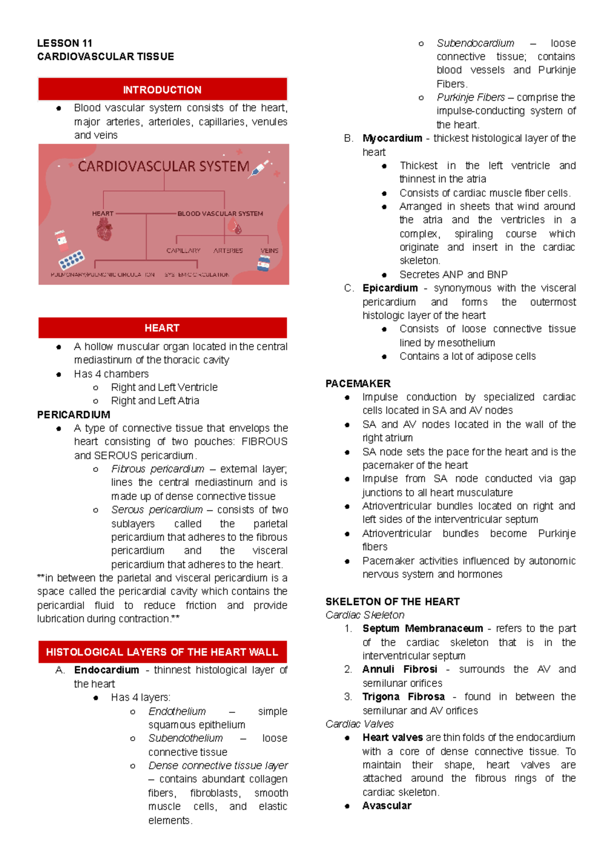 MEDT11 Lab - Lesson 11 - Histopath - LESSON 11 CARDIOVASCULAR TISSUE ...