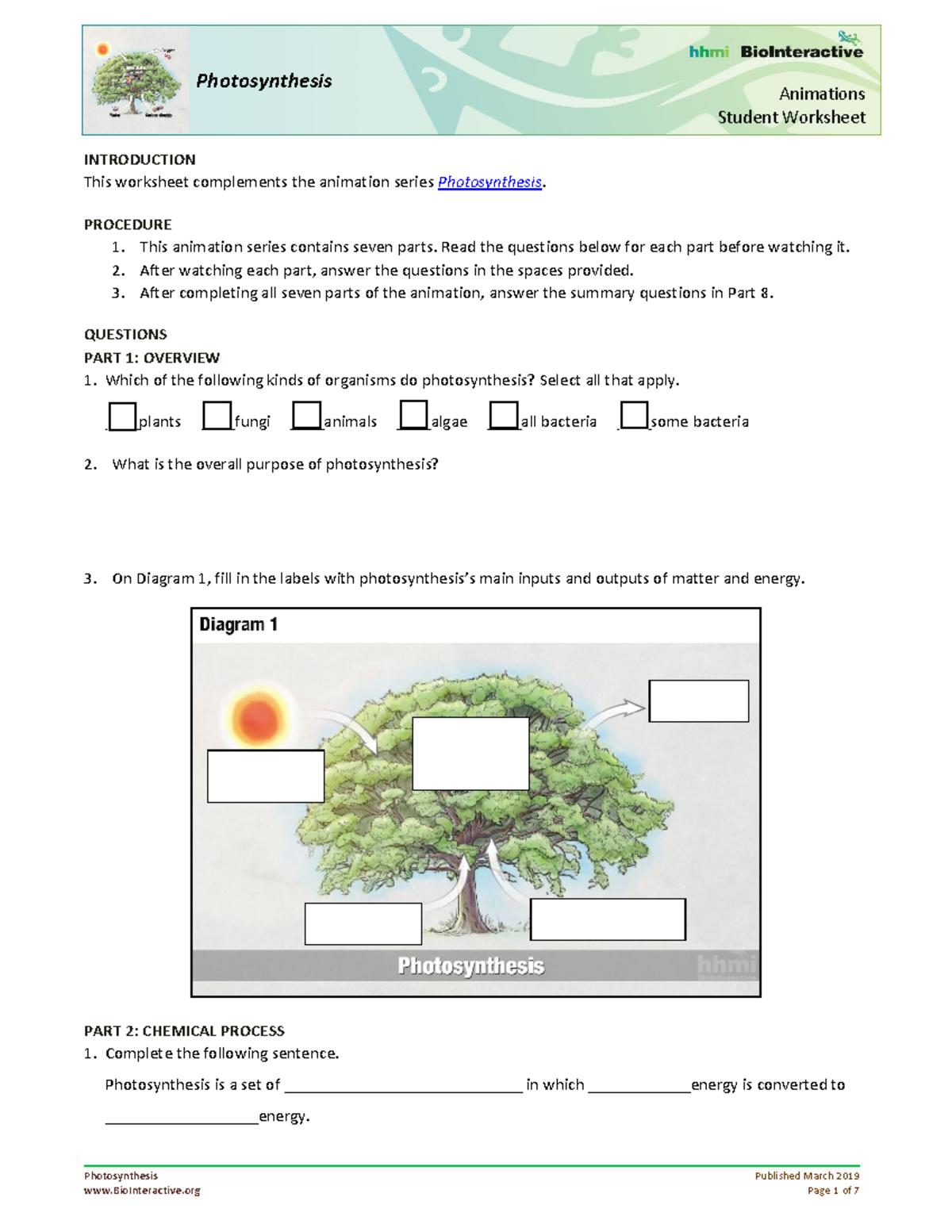 Photosynthesis-Student WS-animation lecture - Accountancy - Studocu