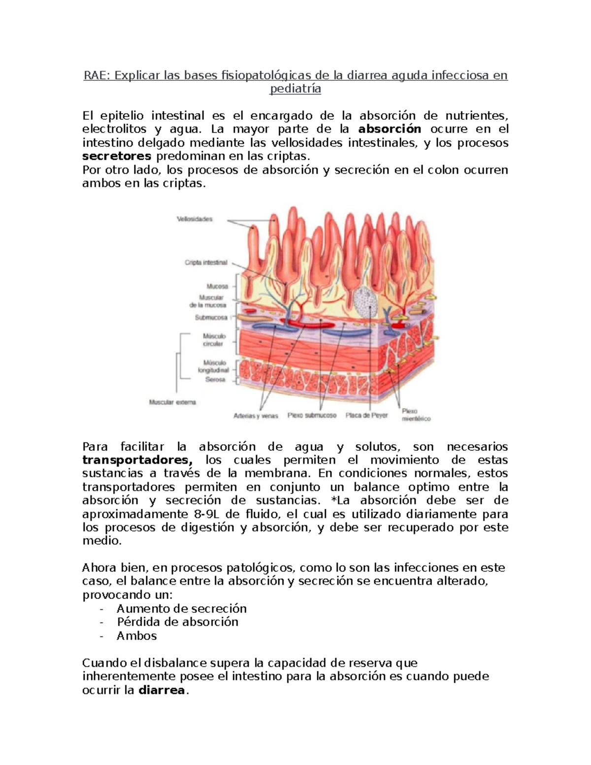 RAE diarrea - biomedicas - RAE: Explicar las bases fisiopatológicas de ...
