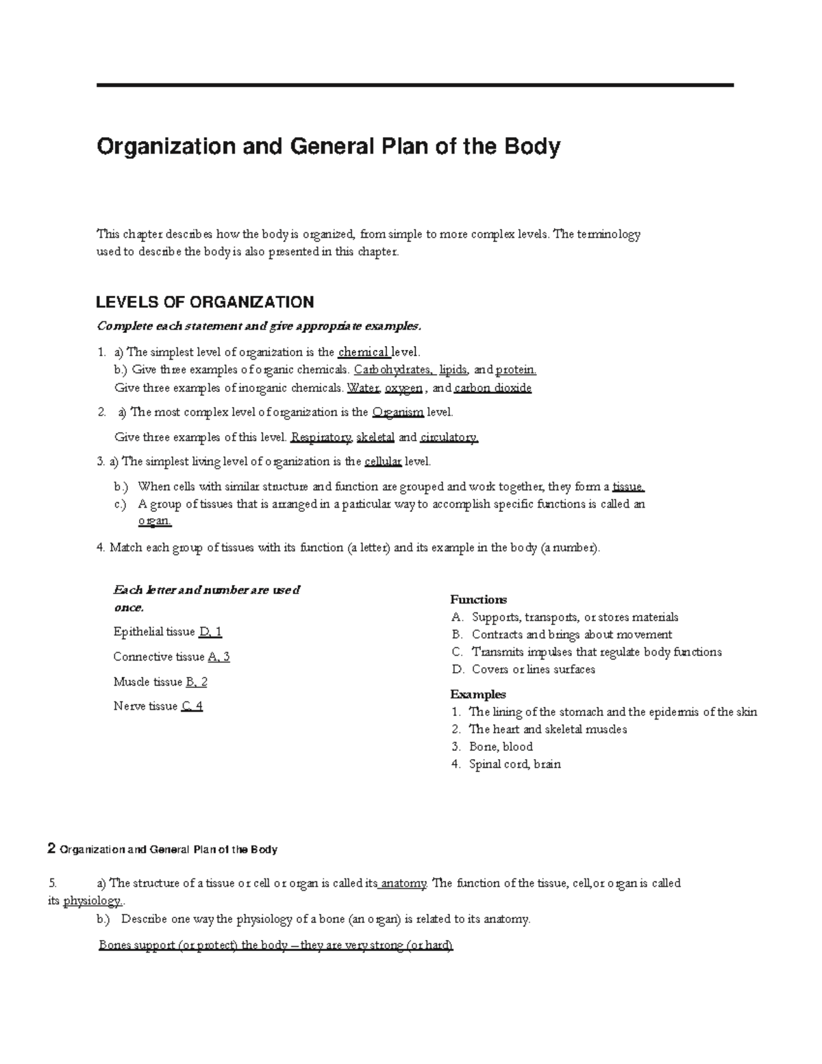 language-of-anatomy-organization-and-general-plan-of-the-body-this
