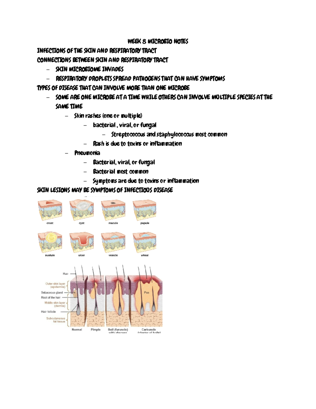 WEEK 8 Microbio Notes - This covers week 8. - WEEK 8 MICROBIO NOTES ...