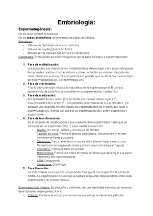 Tema 23. Evolución del intestino posterior. Formación del proctodeo ...