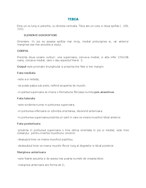 Anatomie curs - Capul și gâtul reprezintă extremitatea cefalică sau ...