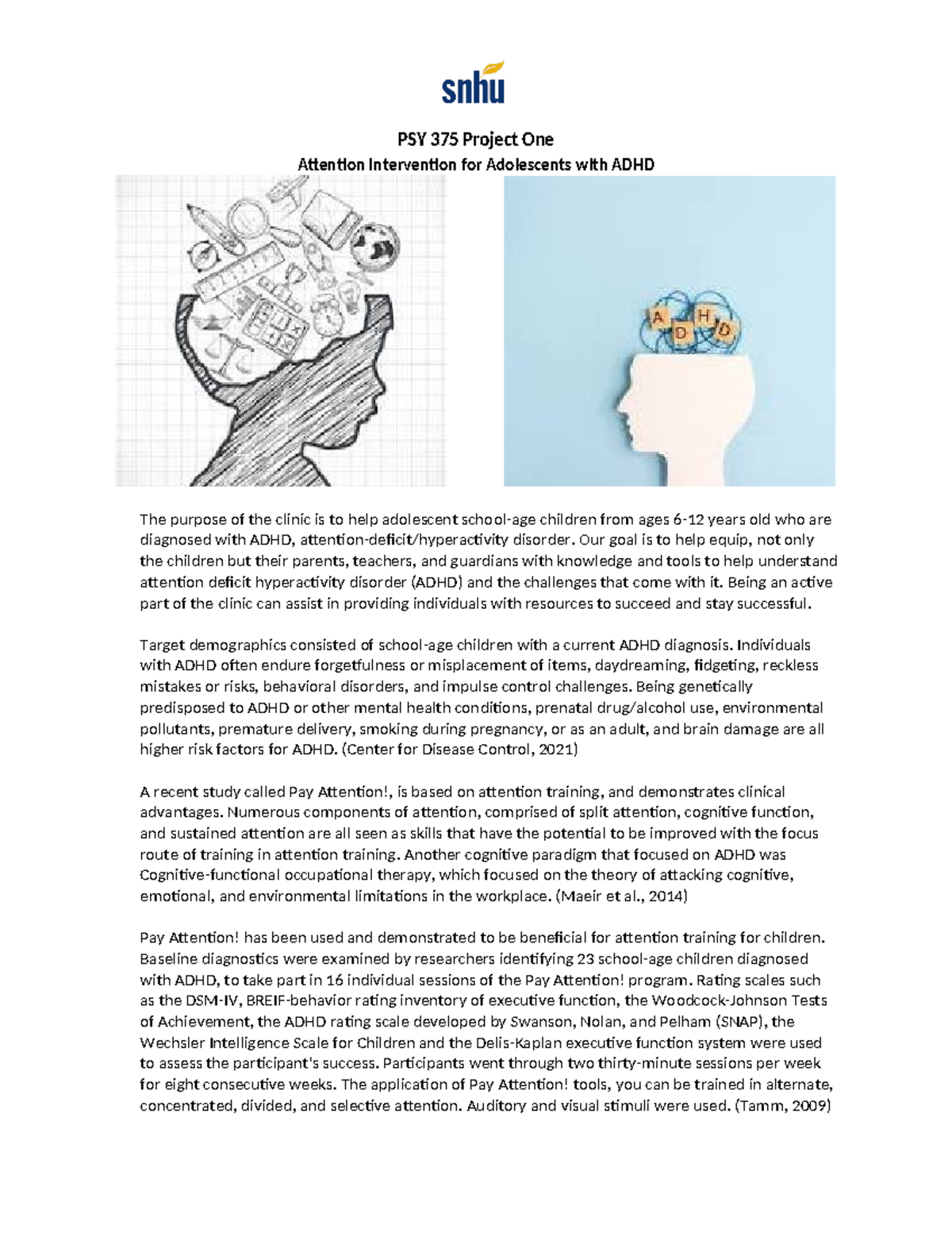 PSY 375 Project One - Assignment - PSY 375 Project One Attention ...