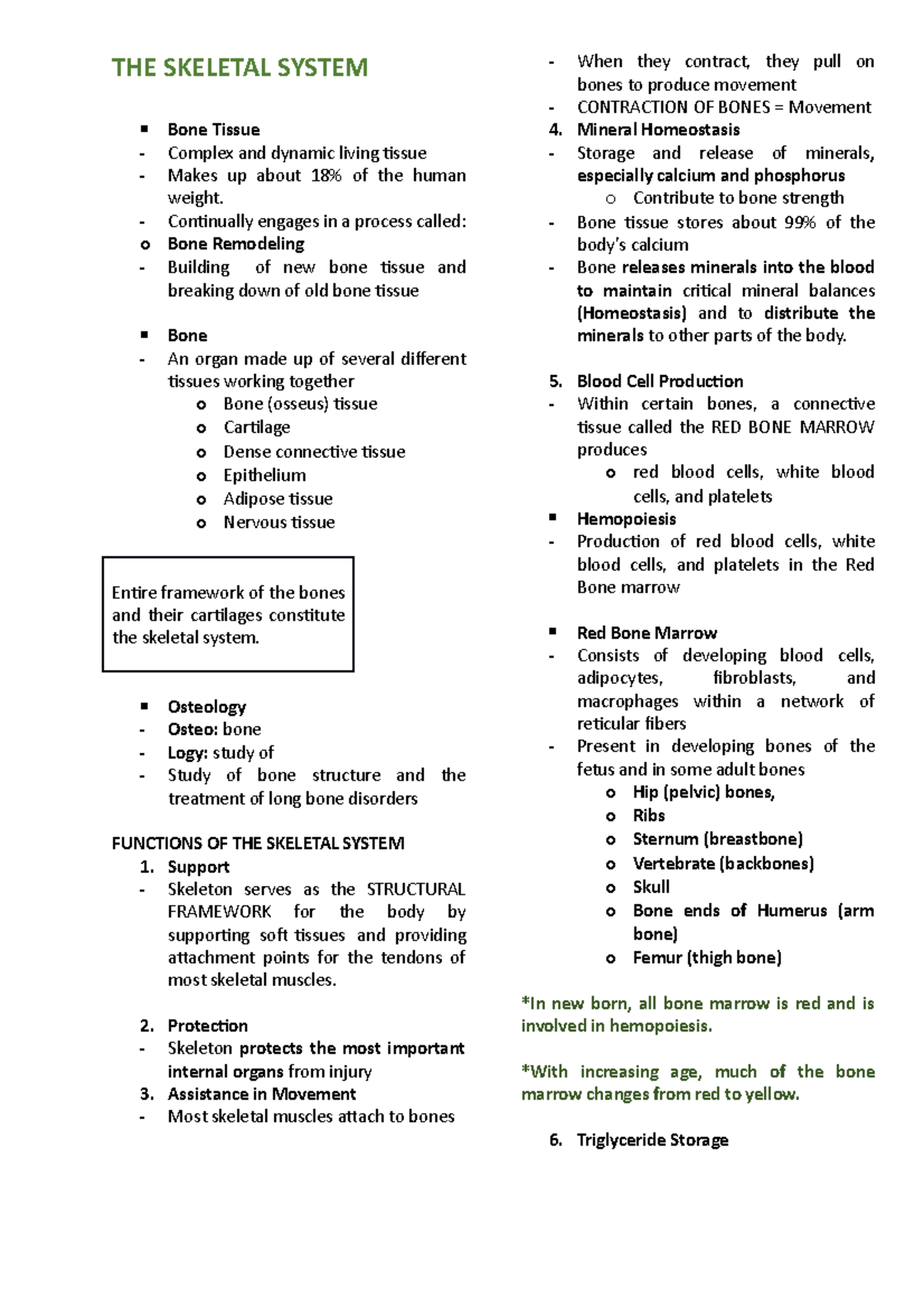 THE Skeletal System - Lecture notes 1 - THE SKELETAL SYSTEM Bone Tissue ...