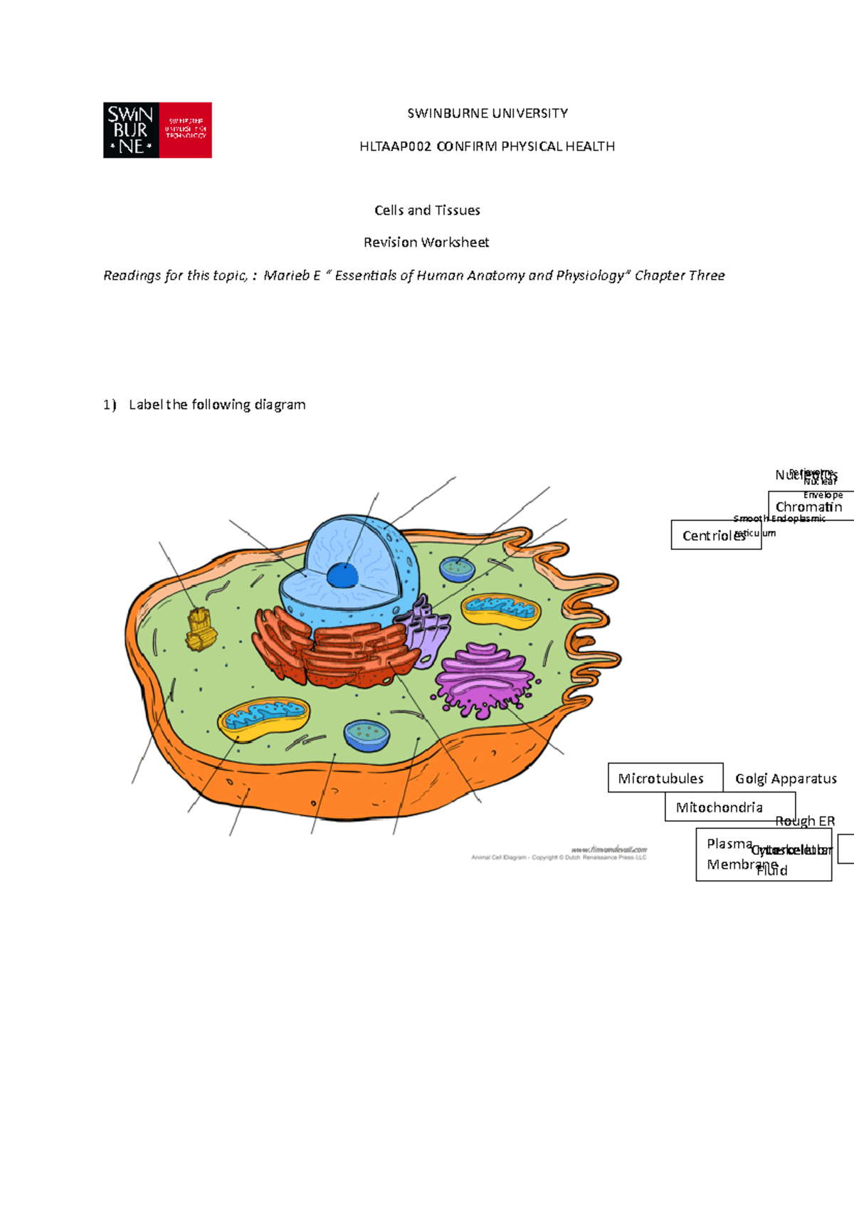 Cells AND Tissues work sheets - SWINBURNE UNIVERSITY HLTAAP002 CONFIRM ...