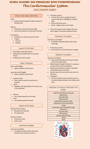 RT 204 Compiled - Lecture notes - RT 204: RADIOGRAPHIC ANATOMY AND ...